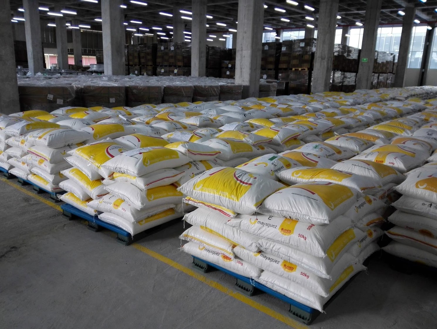 IMG_20150714_163509 - INSUMA